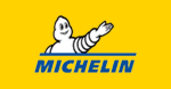 Michelin Tire Logo Vector